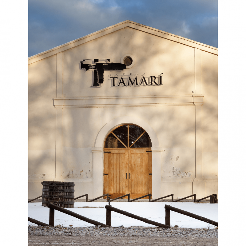 TAMARI - Spéciale selection - Vin d'Argentine - Amérique du Sud